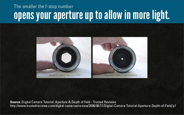 10 Tips To Improve Your Photography