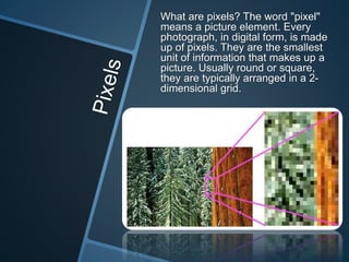 Photography 101 digital photography to the rescue | PPTX