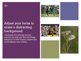 Basic Photography Guidelines | PPT