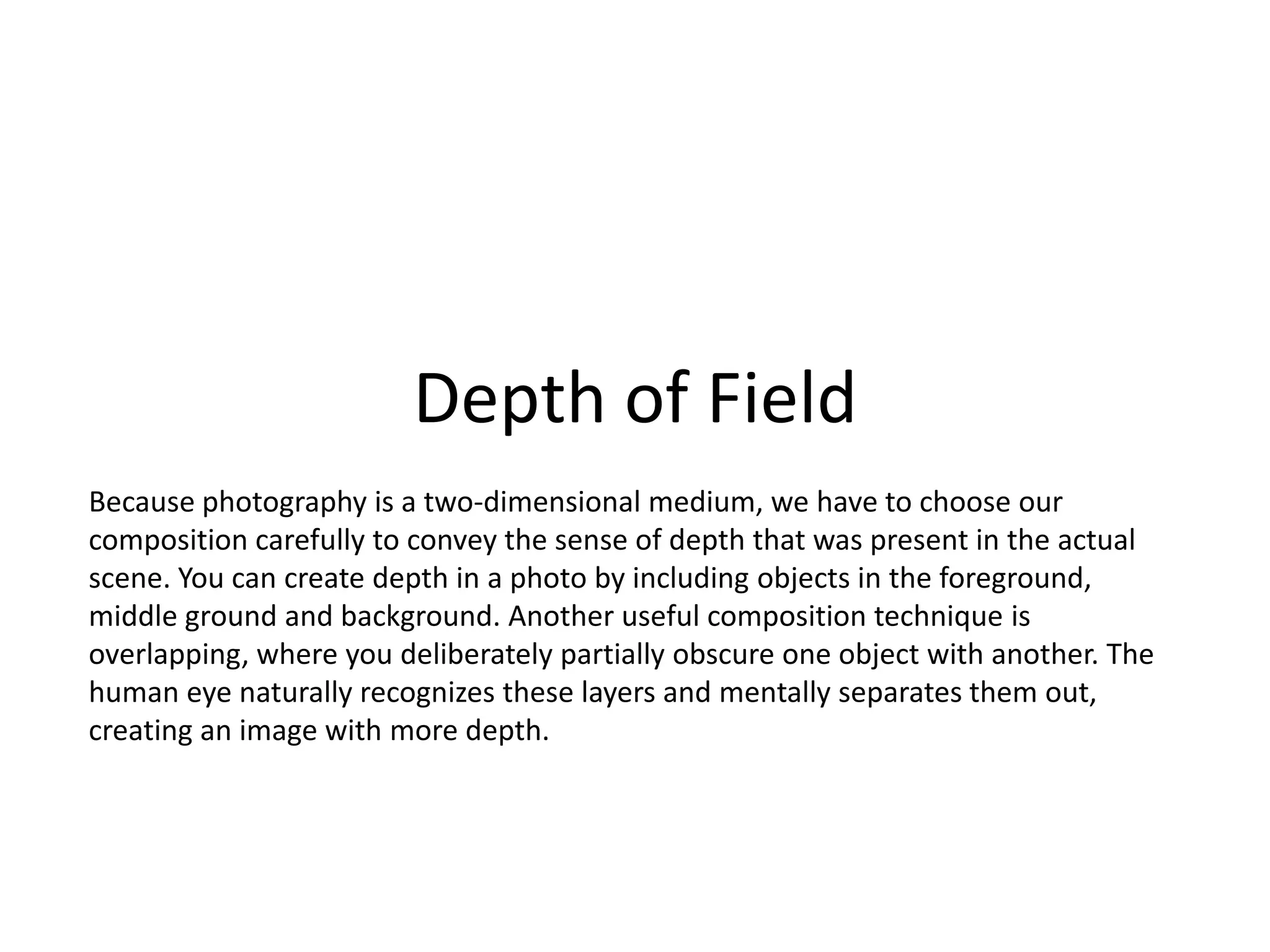 Photography Composition Basics | PPTX | Photography | Arts and Crafts