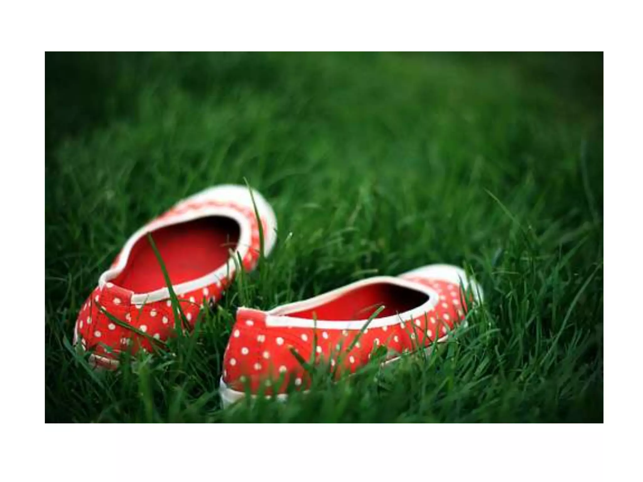 Photography Composition Basics | PPTX