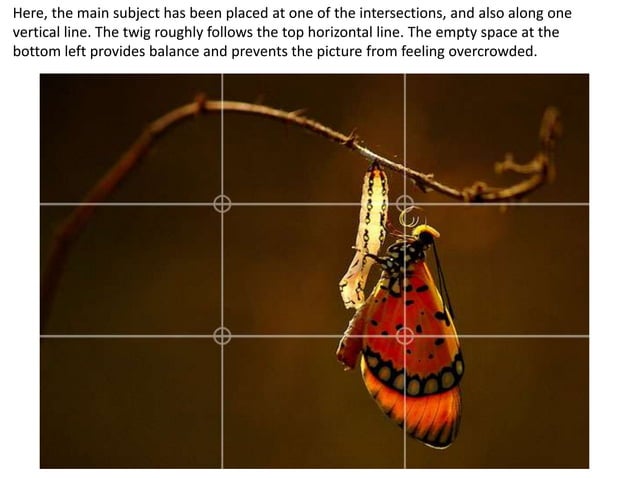 Photography Composition Basics | PPTX | Photography | Arts and Crafts