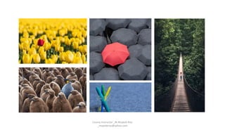 Photography Composition Elements & Principles | PDF