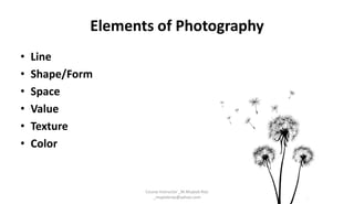 Photography Composition Elements & Principles | PDF