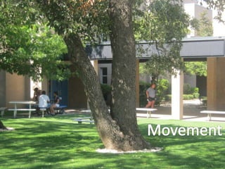 Photography composition using the elements and principles of | PPT