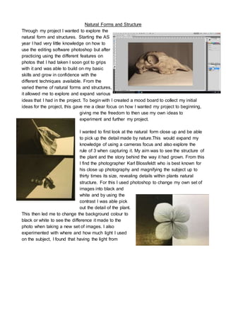 A level Photography Essay | PDF