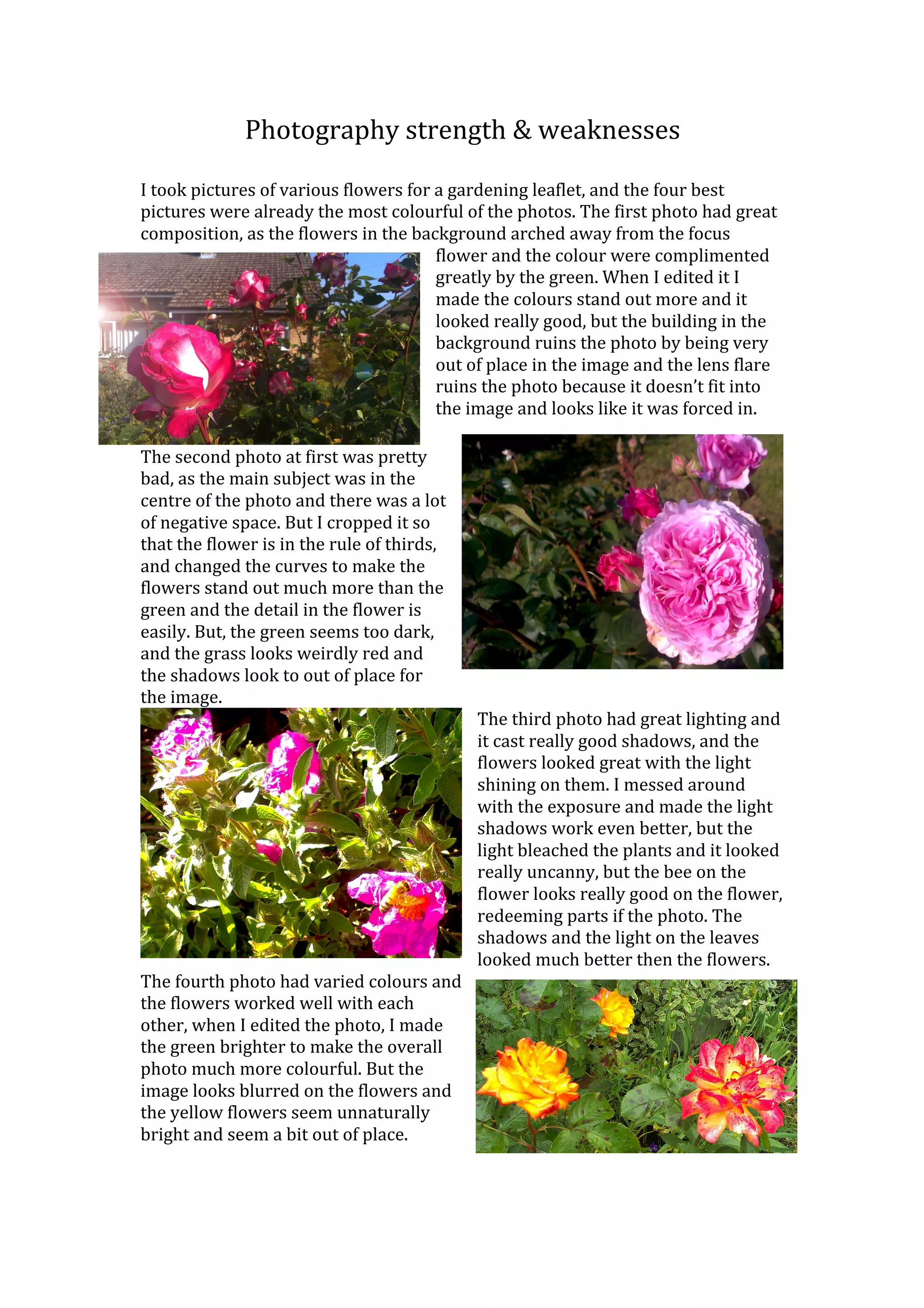 Photography evaluation | PDF | Photography | Arts and Crafts