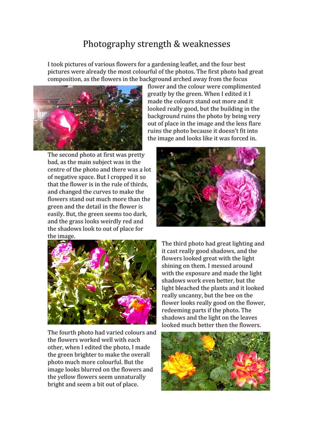 Photography evaluation | PDF | Photography | Arts and Crafts