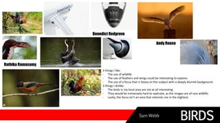 Photography Exam Project | PPTX