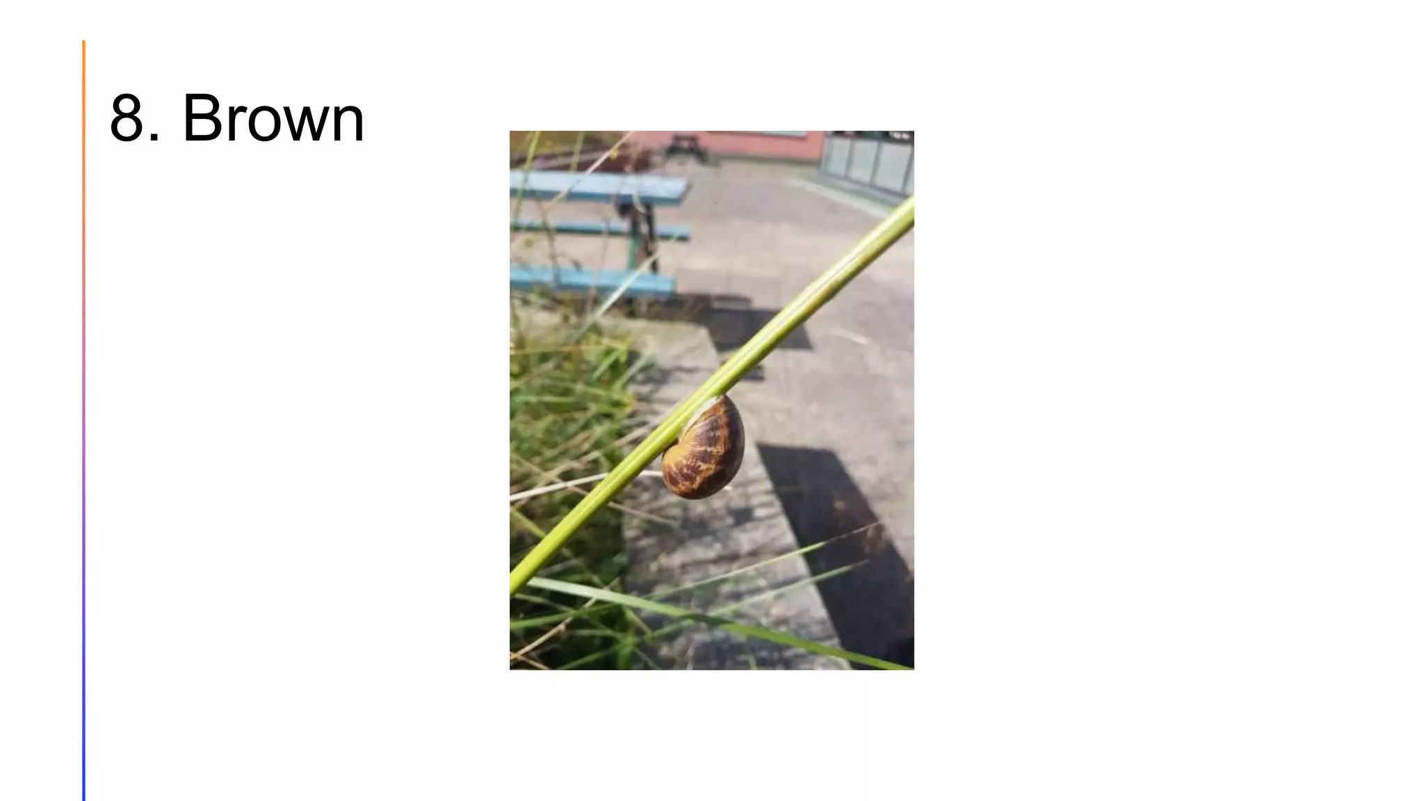 Photography experiments | PPTX