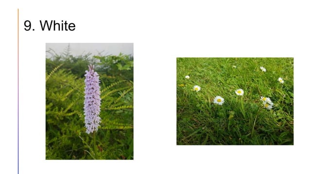 Photography experiments | PPTX