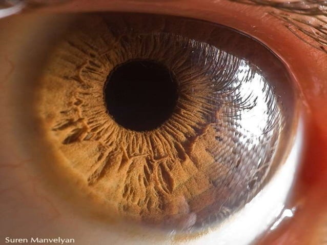 Photography of suren manvelyan | PPSX