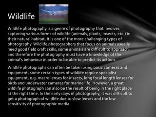 Photography research | PPT