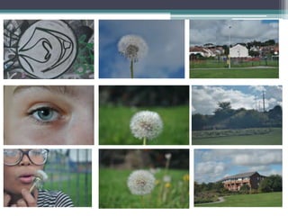 Photography Research | PPTX