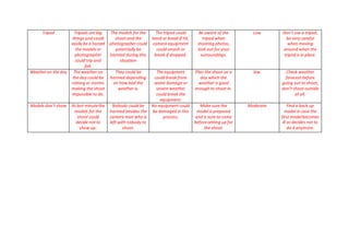 Photography risk assessment portrait | DOCX