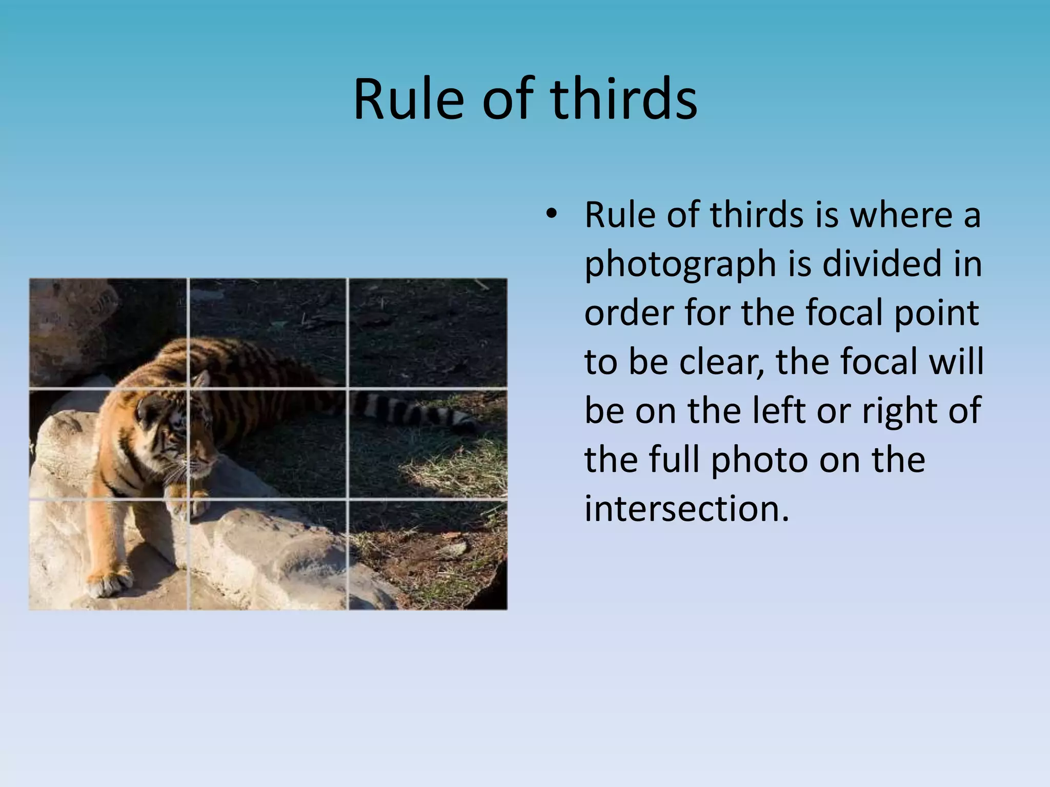 Photography rules powerpoint | PPTX