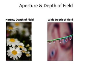 Photography terminology powerpoint | PPT