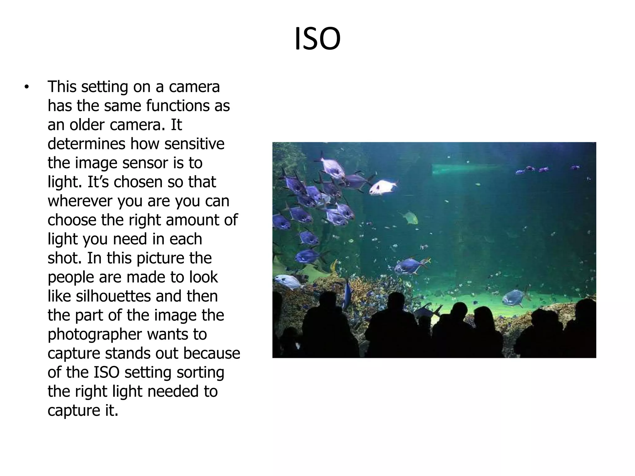 Photography Terminology PowerPoint | PPTX