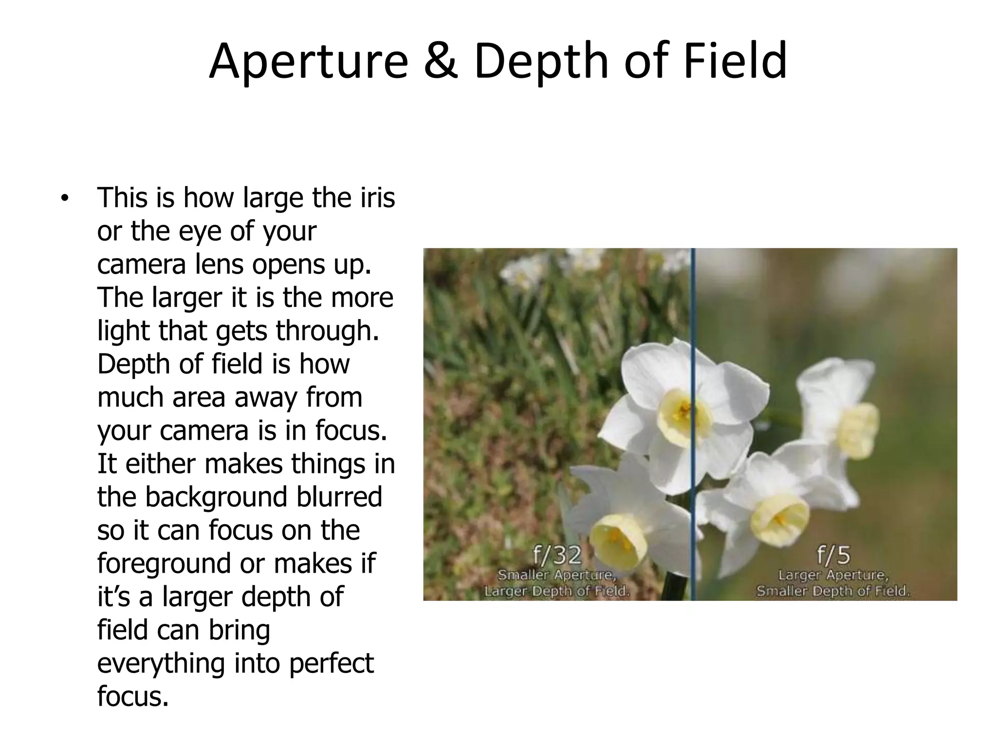 Photography Terminology PowerPoint | PPTX