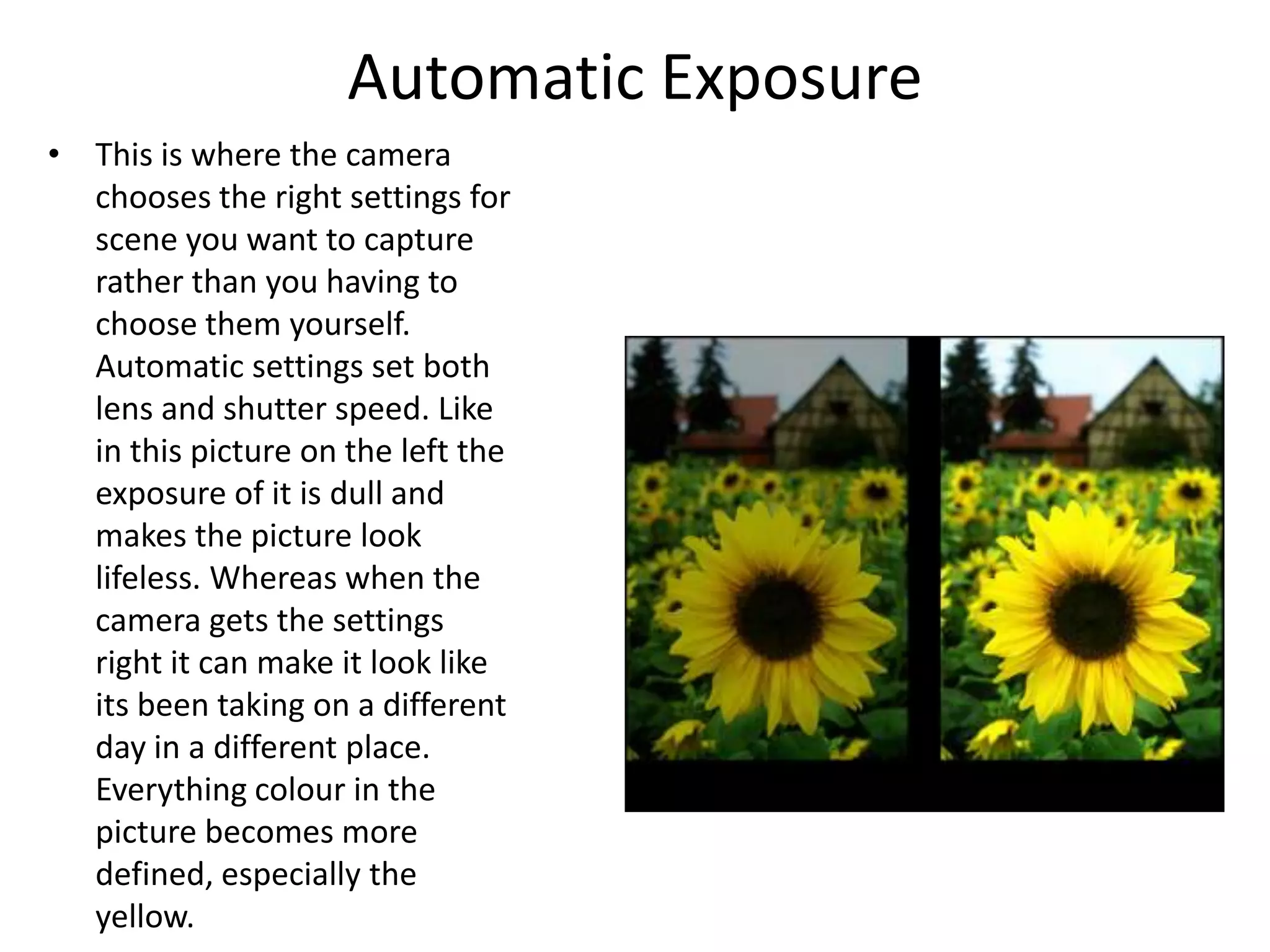Photography Terminology PowerPoint | PPTX