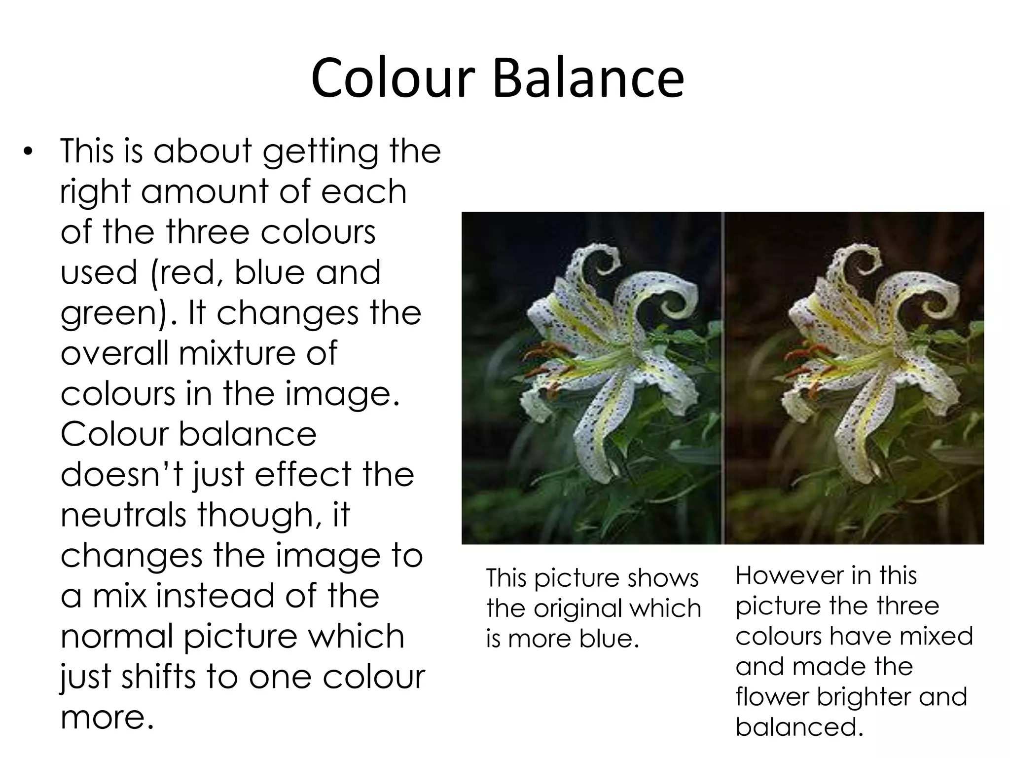 Photography Terminology PowerPoint | PPTX