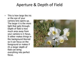 Photography Terminology PowerPoint | PPTX