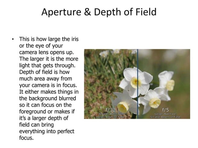 Photography Terminology PowerPoint | PPTX