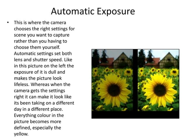 Photography Terminology PowerPoint | PPTX