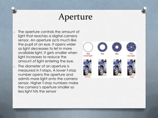 Photography terminologypowerpoint | PPTX | Cameras and Camcorders ...