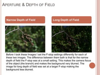 Photography terminology work sheet | PPTX