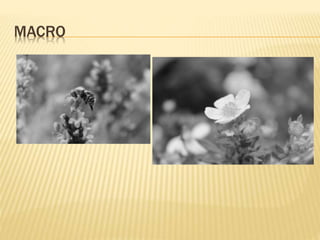 Photography topics | PPTX