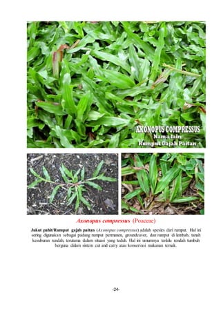 Photo gulma kelapa sawit | DOCX