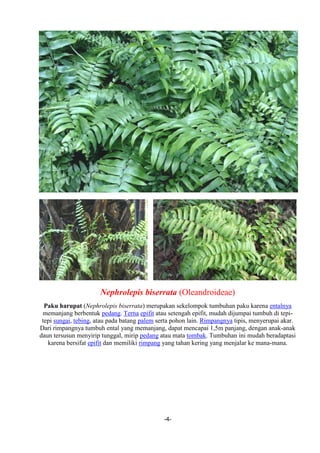 Photo Gulma Kelapa Sawit.pdf