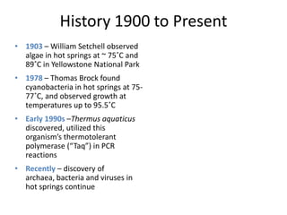 Photo hot spring | PPTX | Chemistry | Science