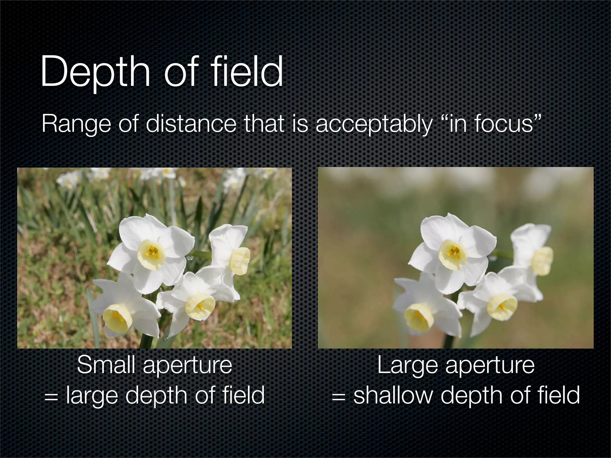 Basic principles of photography | PDF