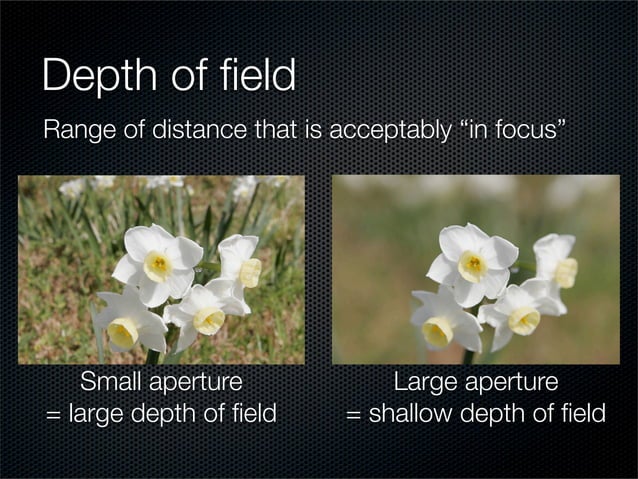Basic principles of photography | PDF
