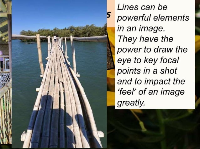 Photojournalism-The Basics | PPTX