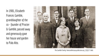 A Day In The Garden | PPT