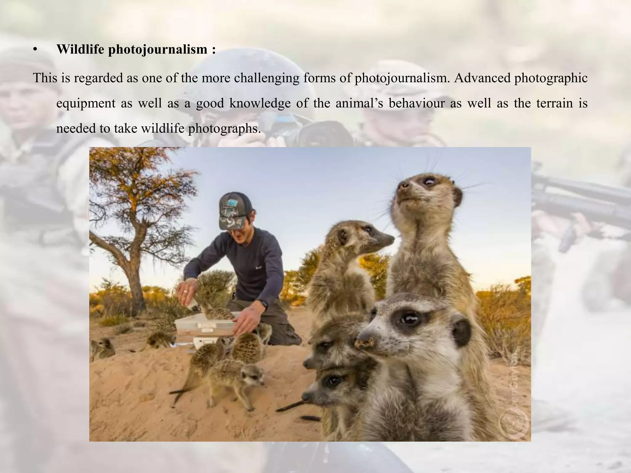 Photojournalism | PPTX