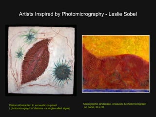Photomicrography | PPT