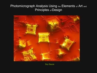 Photomicrography | PPT