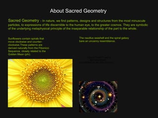 Photomicrography | PPT