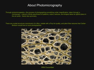 Photomicrography | PPT