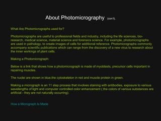 Photomicrography | PPT