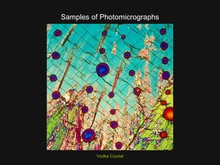 Photomicrography | PPT