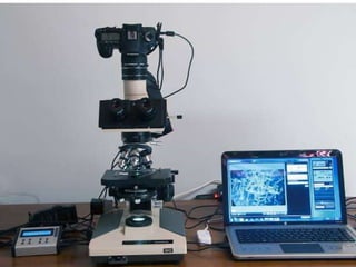 Photomicrography histry, introdution, camera, application | PPTX