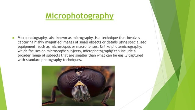 photomicrography and microphotography.pptx | Photography | Arts and Crafts