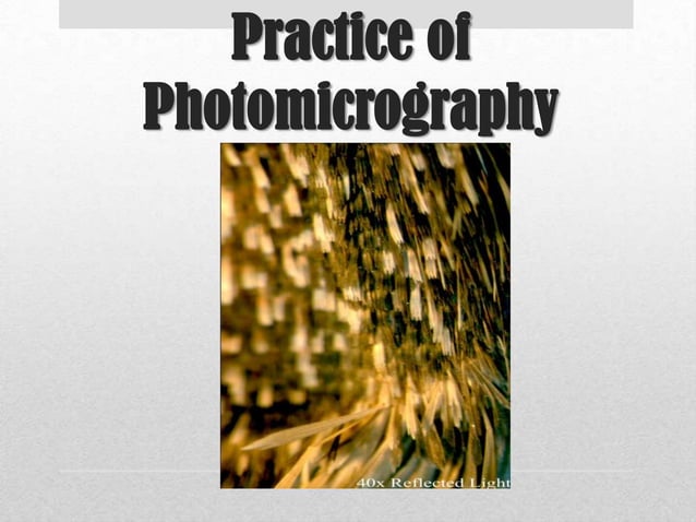 Photomicrography project | PPTX