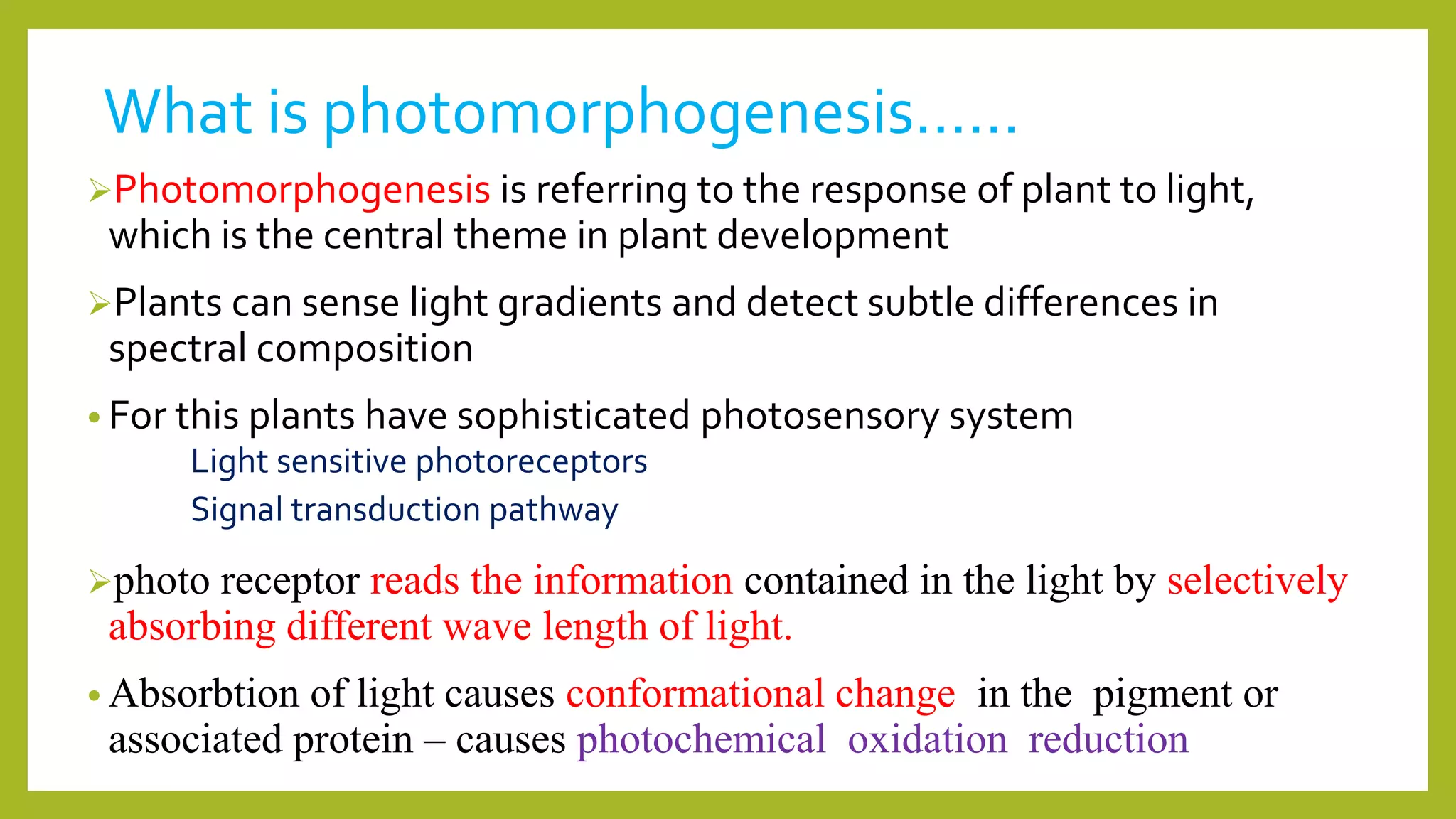 Photomorphogenesis | PPTX