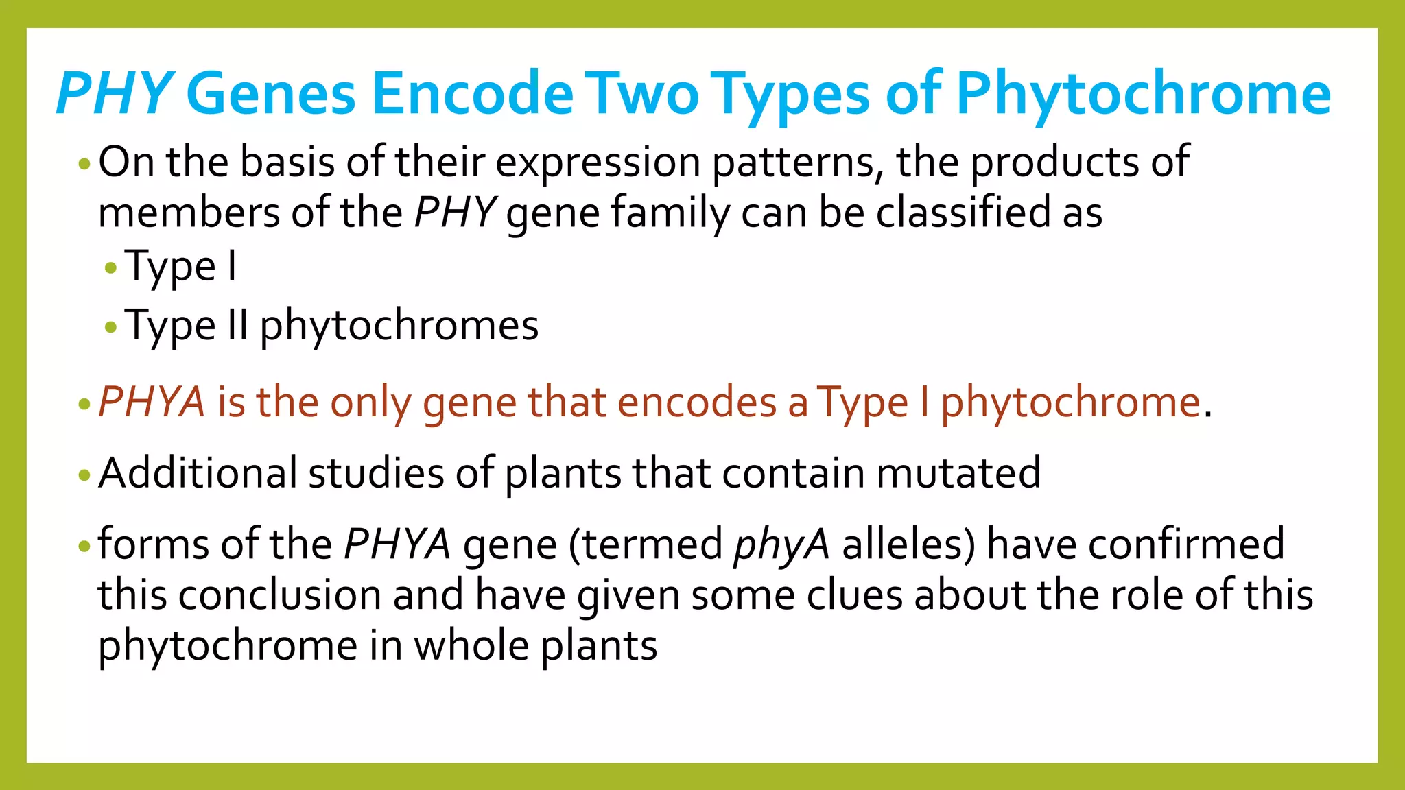 Photomorphogenesis | PPTX